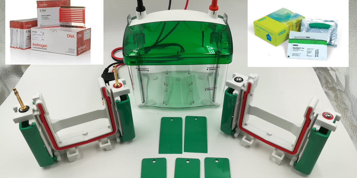 Precast gels kits – www.labshops.com