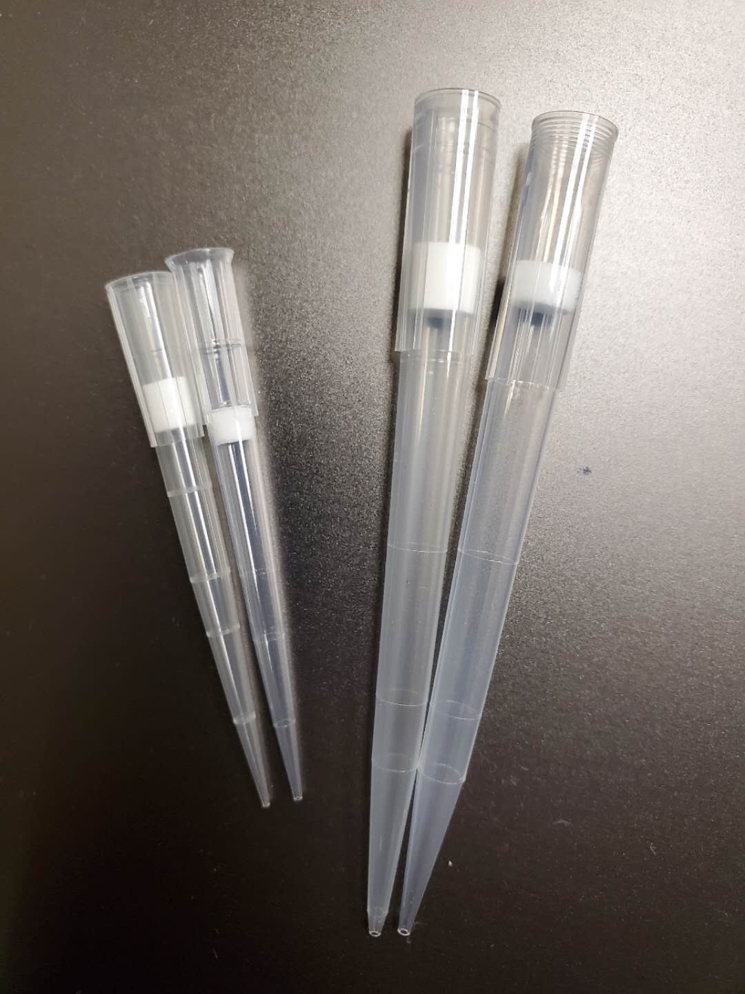 Filtered Sterile pipette Tips, 200ul, Sterile, Clear, 960 tips – www ...