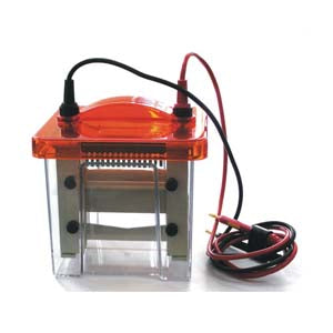 Azzota® Mini Vertical Gel Tank – www.labshops.com